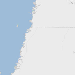 Calls For Service Search