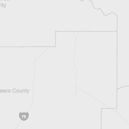 Calls For Service Search